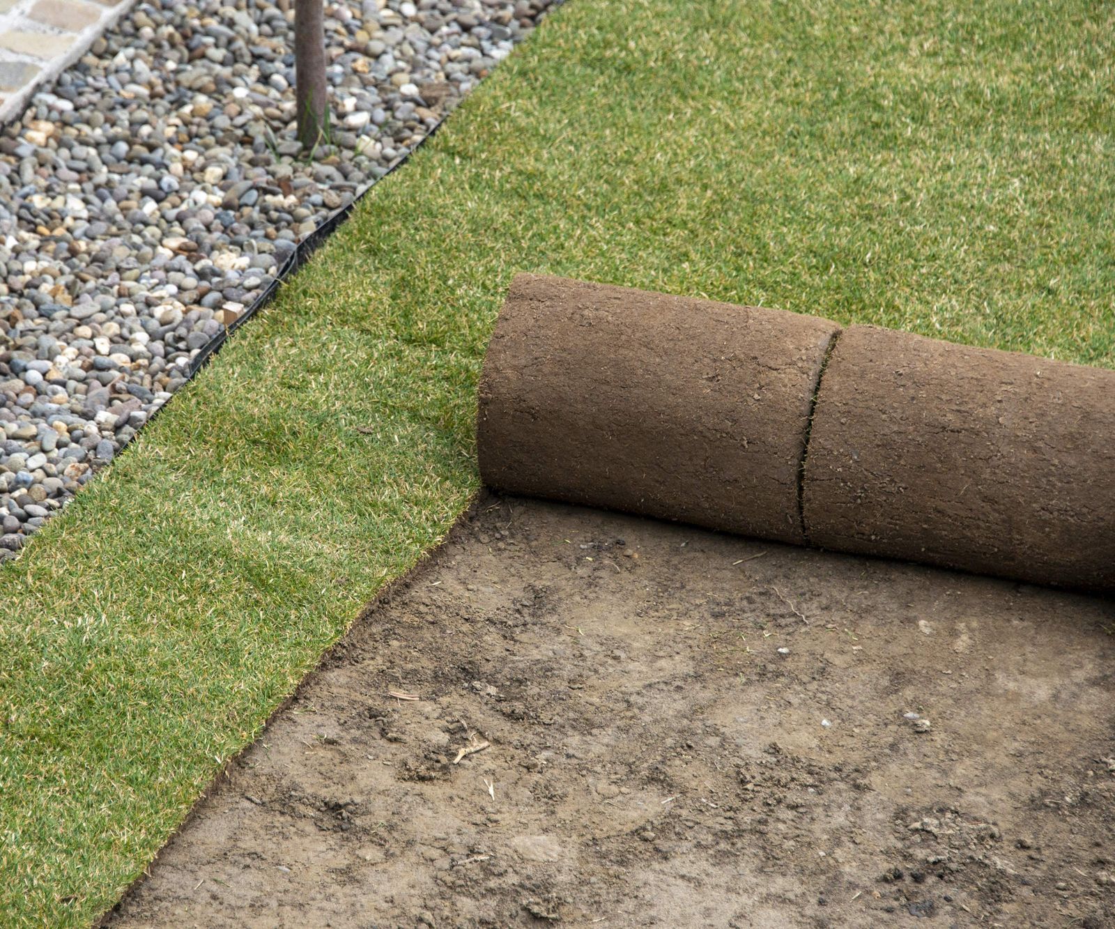 Expert tips for how to lay turf to revamp your backyard | Homes and Gardens