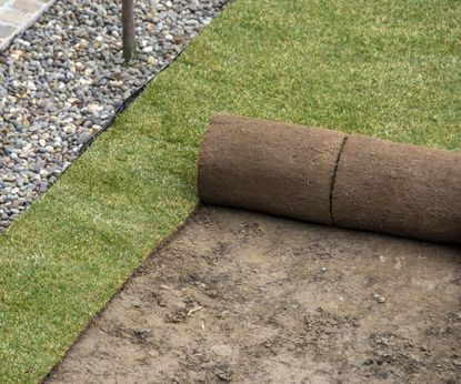 Expert tips for how to lay turf to revamp your backyard | Homes and Gardens
