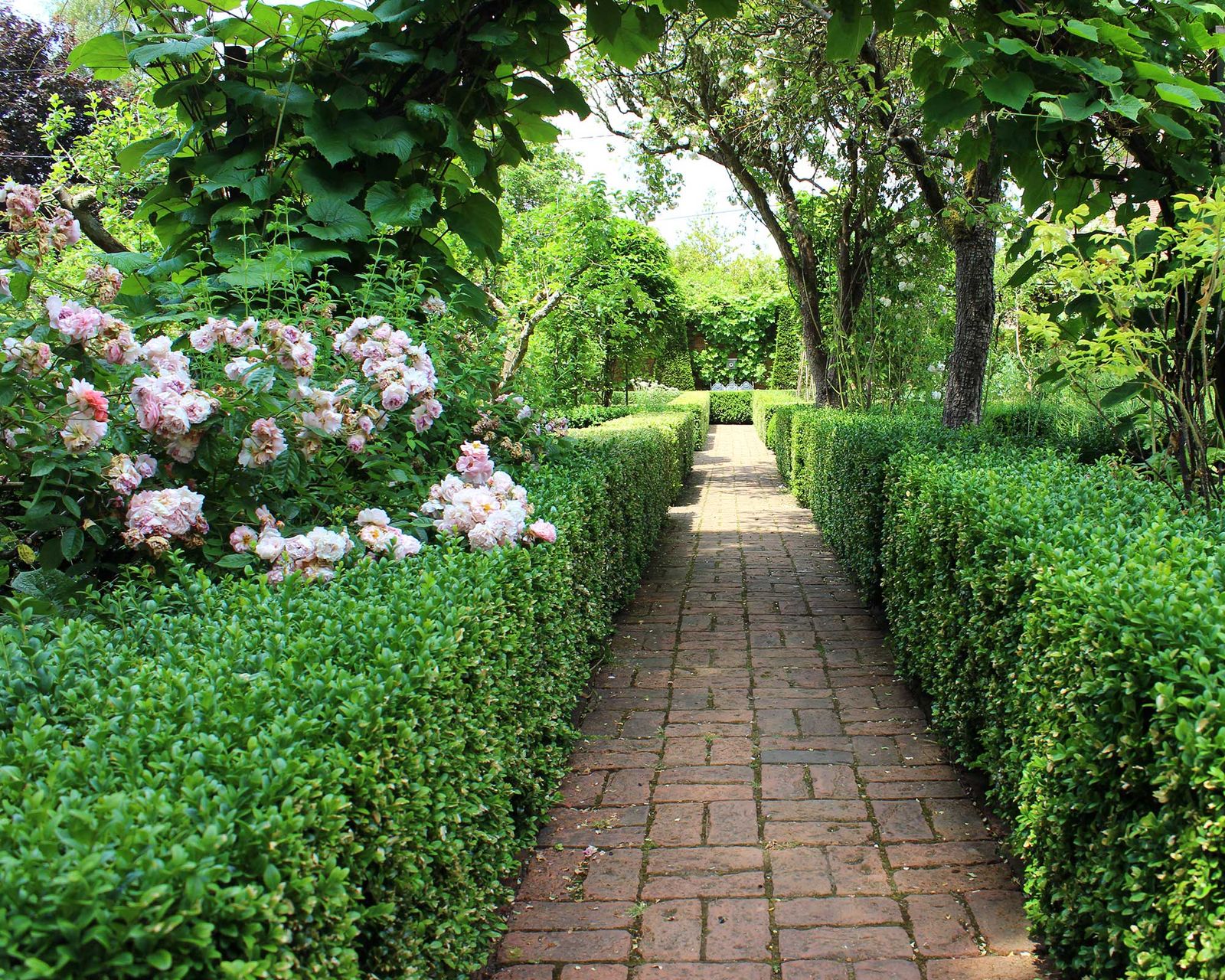 Paver patterns: 8 creative looks for patios or paths | Gardeningetc