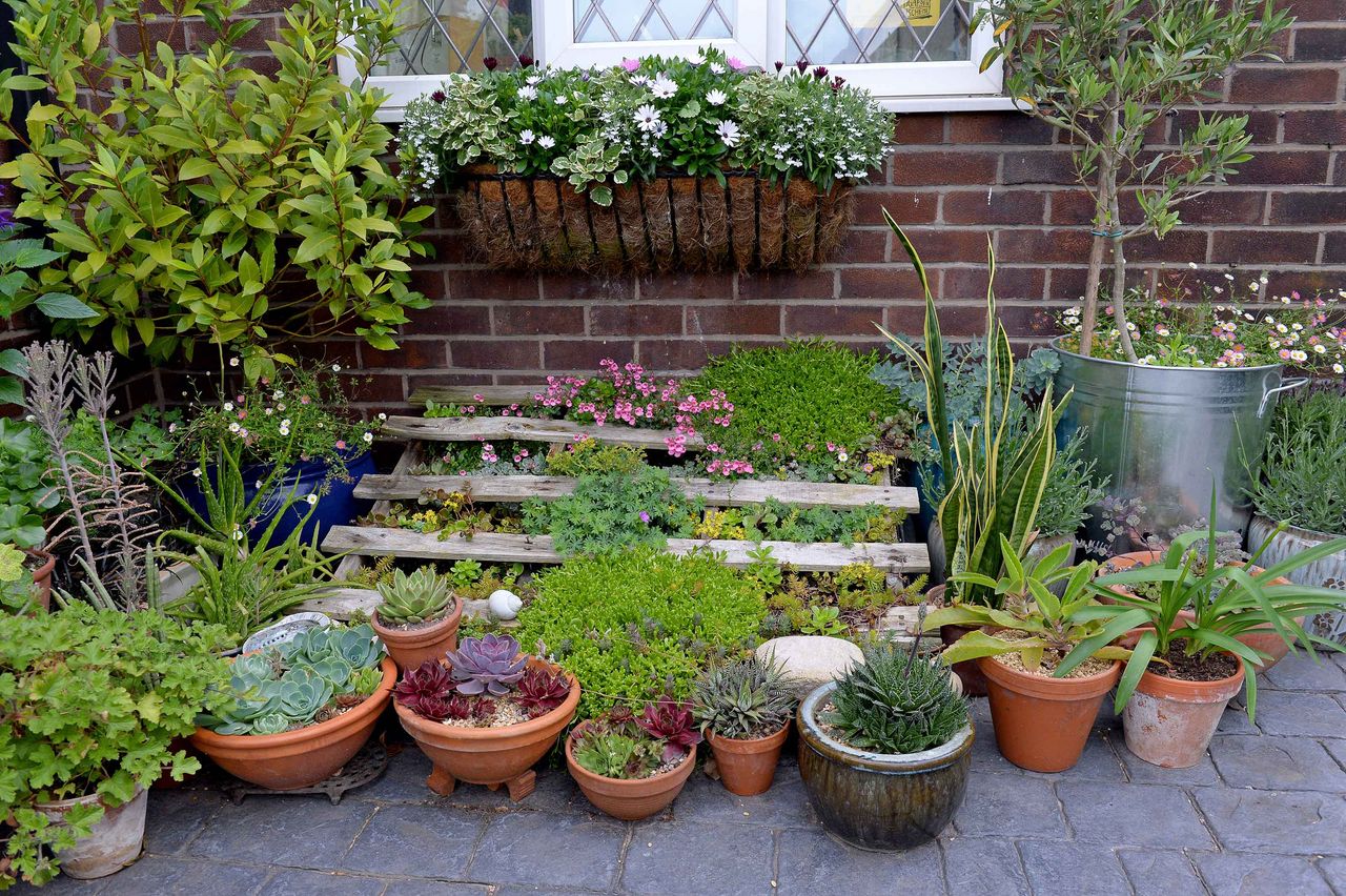 Sustainable gardens: 10 ideas for an eco-friendly space | Gardeningetc