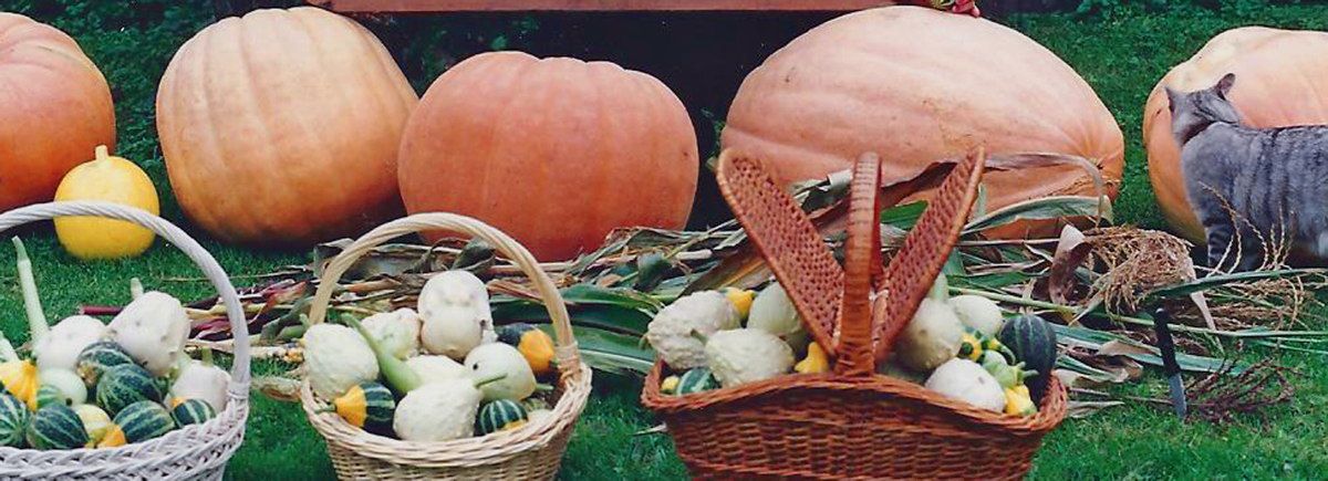 Astropumpkins! Space Photographer Carves Cosmic Pumpkins for Halloween ...