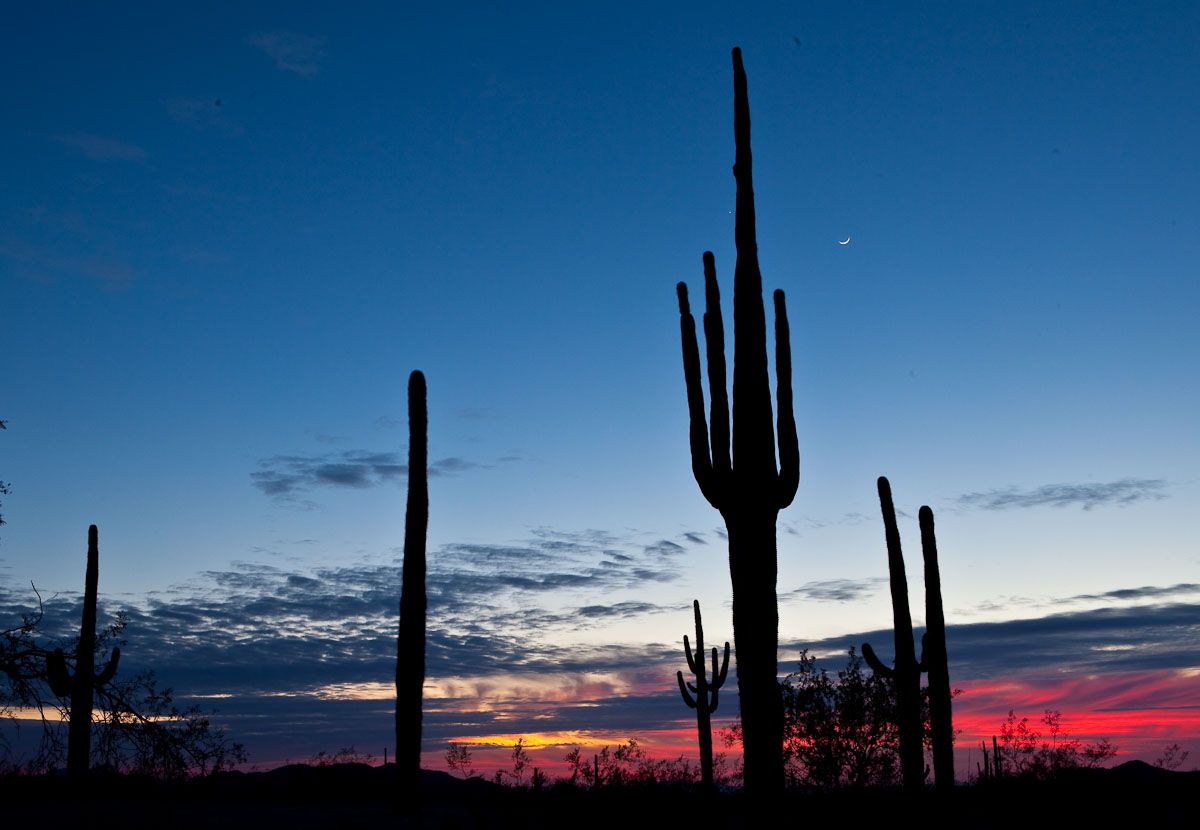 Stunning Night-Sky Images from the American Desert | Space