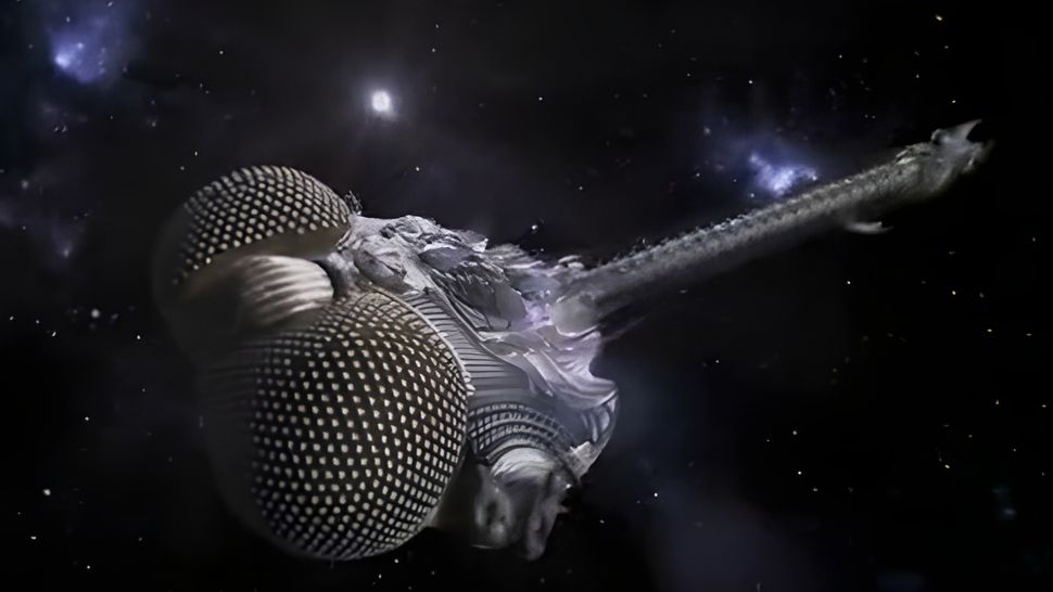 'Lexx' appeal: A deeply underrated sci-fi classic that was equal parts ...