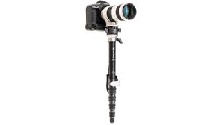 The best monopod in 2022 | Digital Camera World
