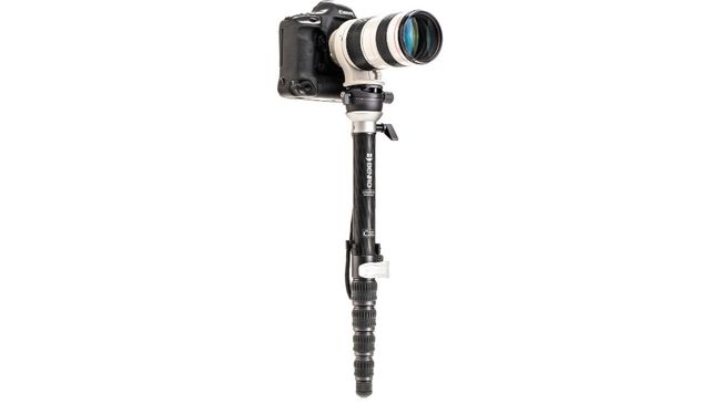 The best monopod in 2022 | Digital Camera World
