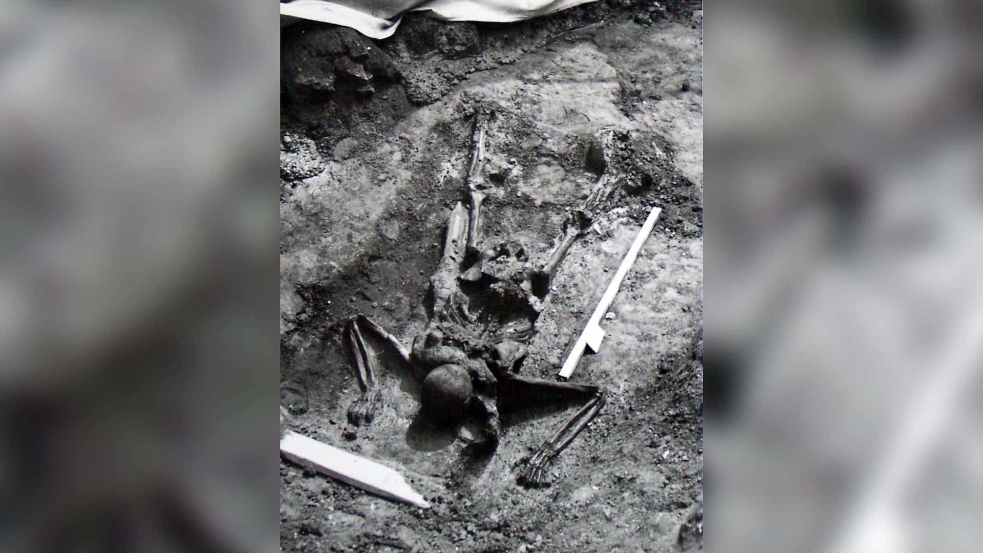 Roman-era skeleton found near Mount Vesuvius may be from famous rescue ...