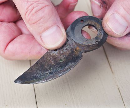 How to clean pruning shears: expert tips for pristine tools | Homes and ...