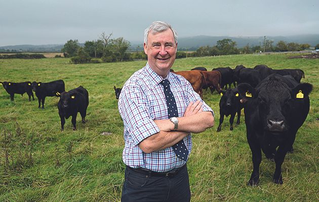 The Yorkshire Vet | What to Watch