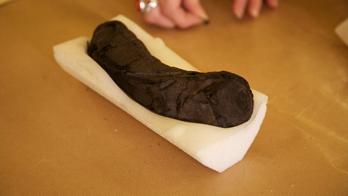 Scroll charred in Mount Vesuvius eruption partially deciphered, earning ...