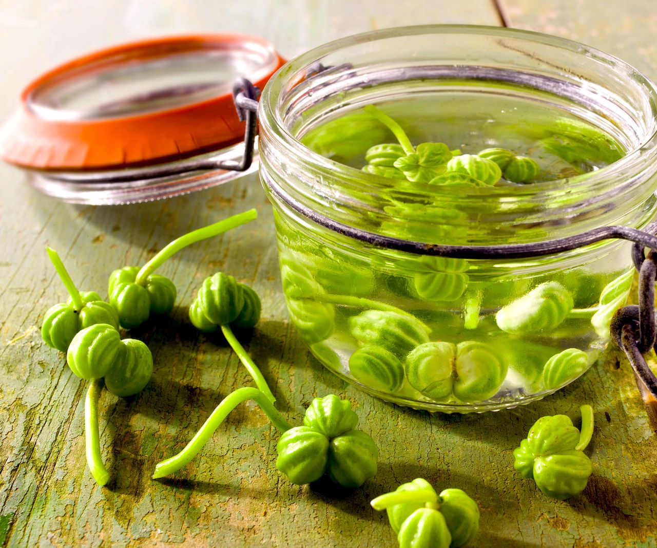 Best edible seeds: 10 nutritious seeding plants to harvest | Homes and ...