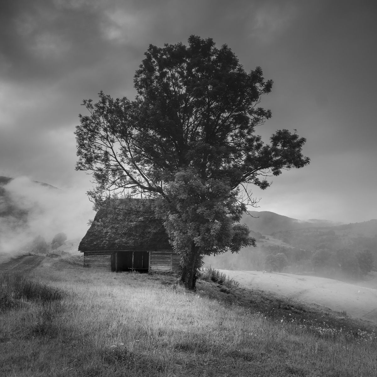 Is medium format photography worth it? Here's what a professional ...