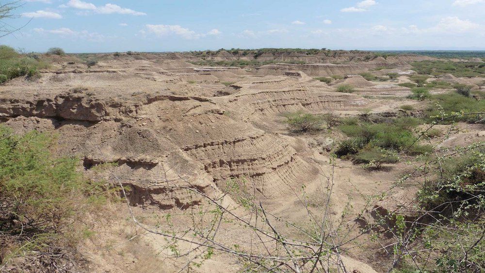 Modern humans lived in eastern Africa 38,000 years earlier than thought ...
