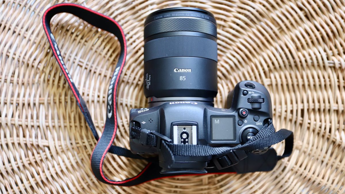 Canon RF 85mm f/2 Macro IS STM review | TechRadar