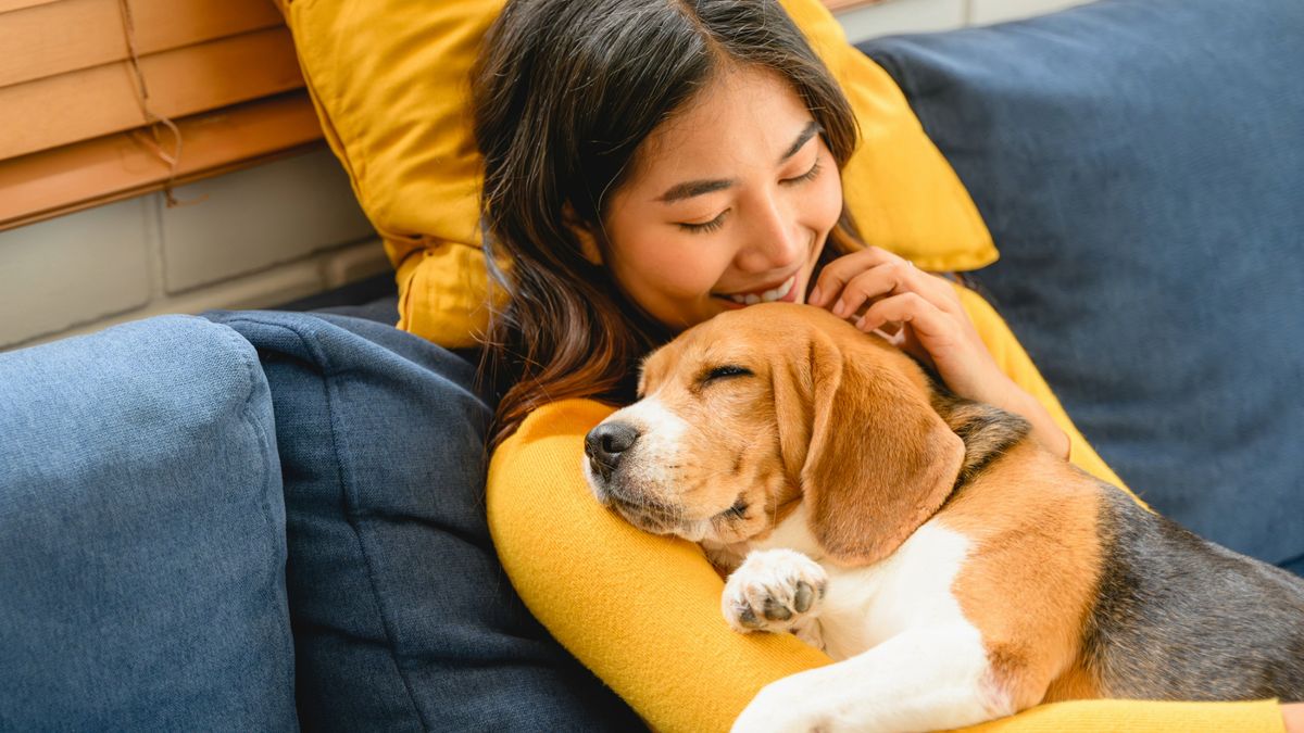 Why does my dog lay on top of me? A vet has the answer | PetsRadar
