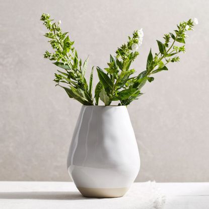 Best vases: tips from a floral arranging expert | Homes and Gardens
