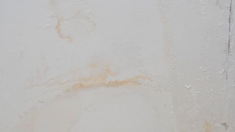 How to remove water stains from wood and walls | Tom's Guide