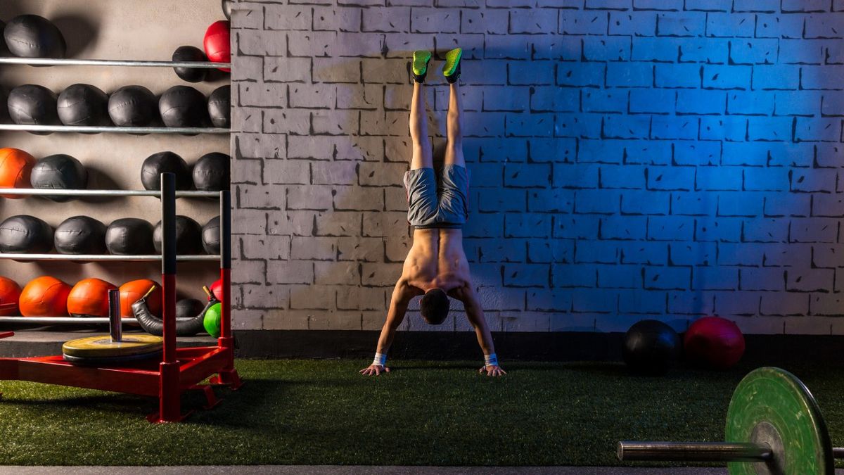 The Best Shoulder Exercises For All Levels Of Gym-Goer | Coach