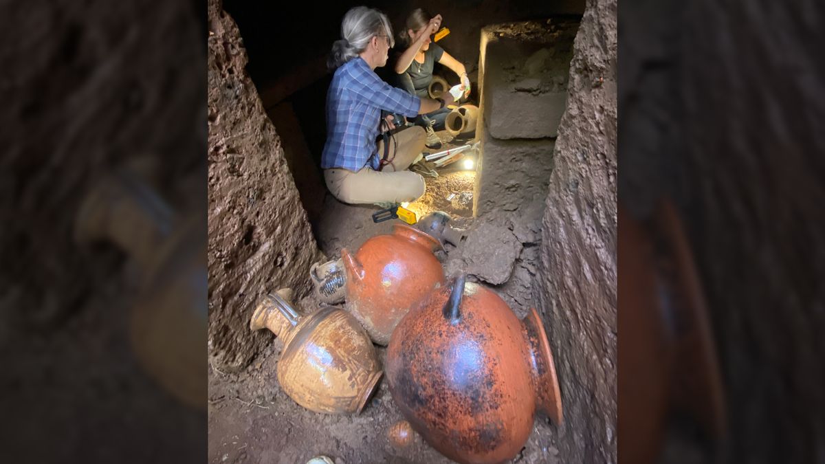 'A rare find for Etruscan archaeology': Archaeologists discover sealed ...