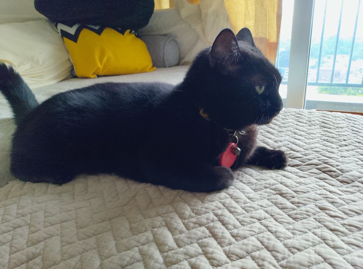 How bad can this $100 Android phone be? | Android Central