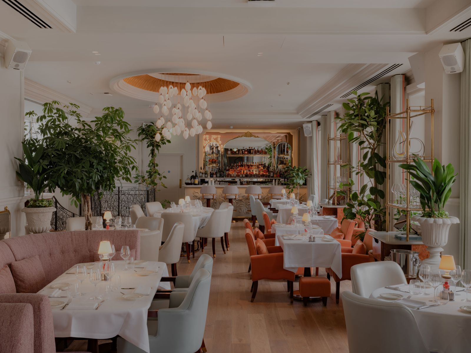 First look at 19 Motcomb Street, Belgravia’s new dining hub | Wallpaper*