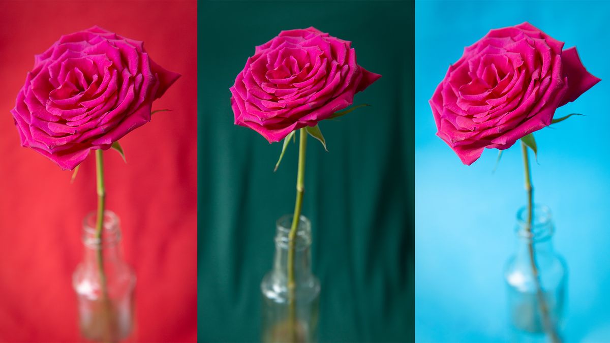 RGB histogram pro tips | Digital Camera World