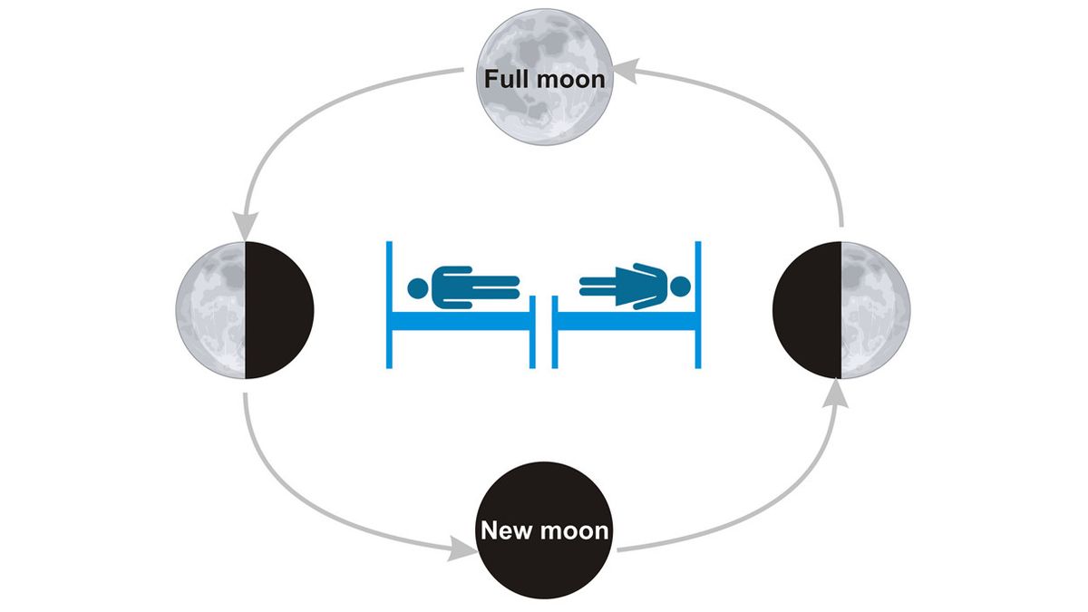 Men’s sleep patterns are most affected by the moon, say scientists ...