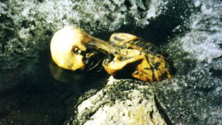 Ötzi the Iceman’s mummified corpse was found in an Alpine gully — but ...
