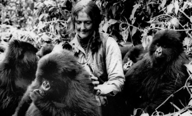 Dian Fossey: The woman in the mist | The Week