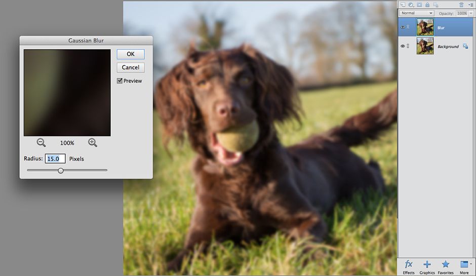 How to create Instagram-style filters | Digital Camera World