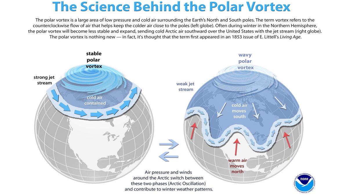 Wandering polar vortex may cause a wild, snowy winter | Live Science