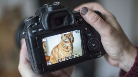 49 essential Canon DSLR tips and tricks you need to know | TechRadar