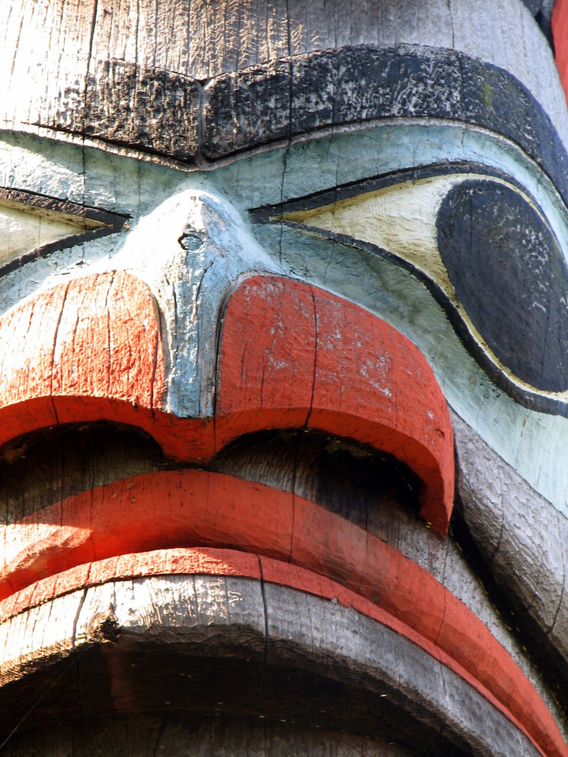 Kayaking the Salish Sea | Live Science