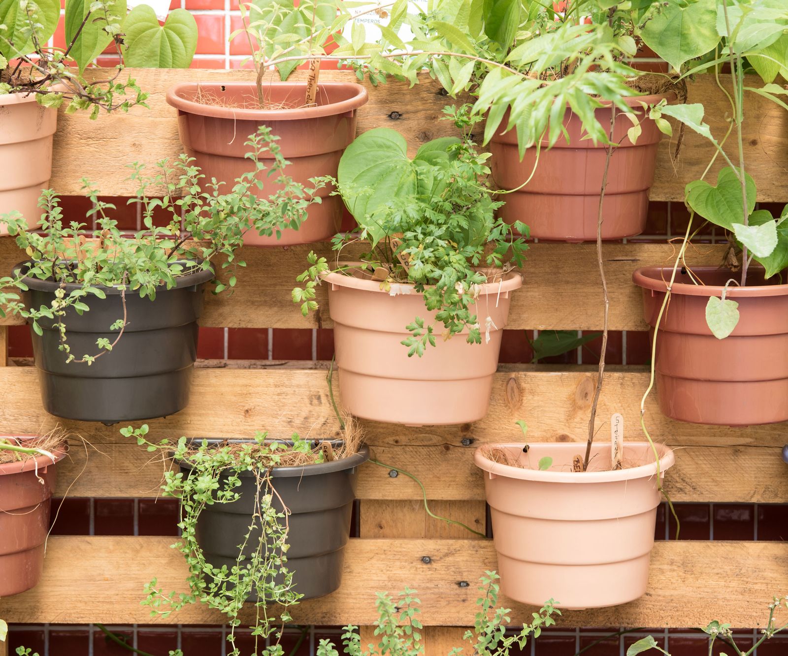 Vertical Gardening: Grow Up With 3 Vertical Growing Methods | Gardening ...
