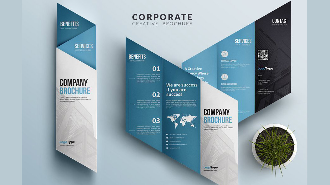 Sample Of Brochure Design Psoriasisguru