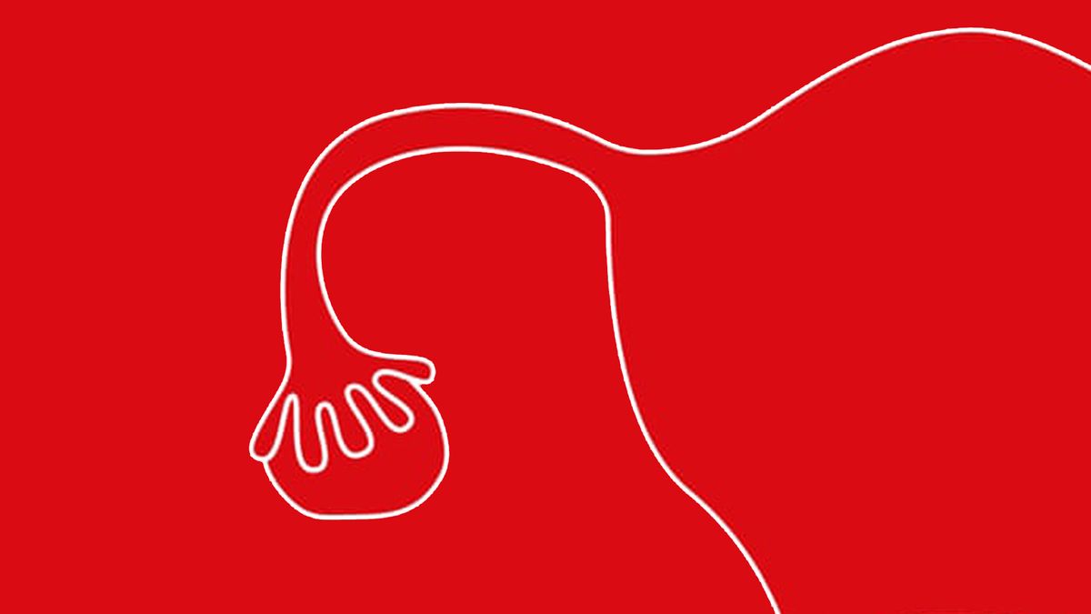 Pantone launches a Period colour (and people are seeing red) | Creative ...