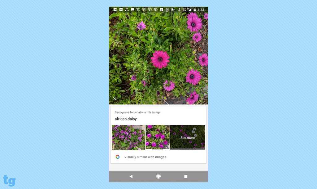 Google Lens Guide: What You Can Do with This Powerful AI Feature | Tom ...