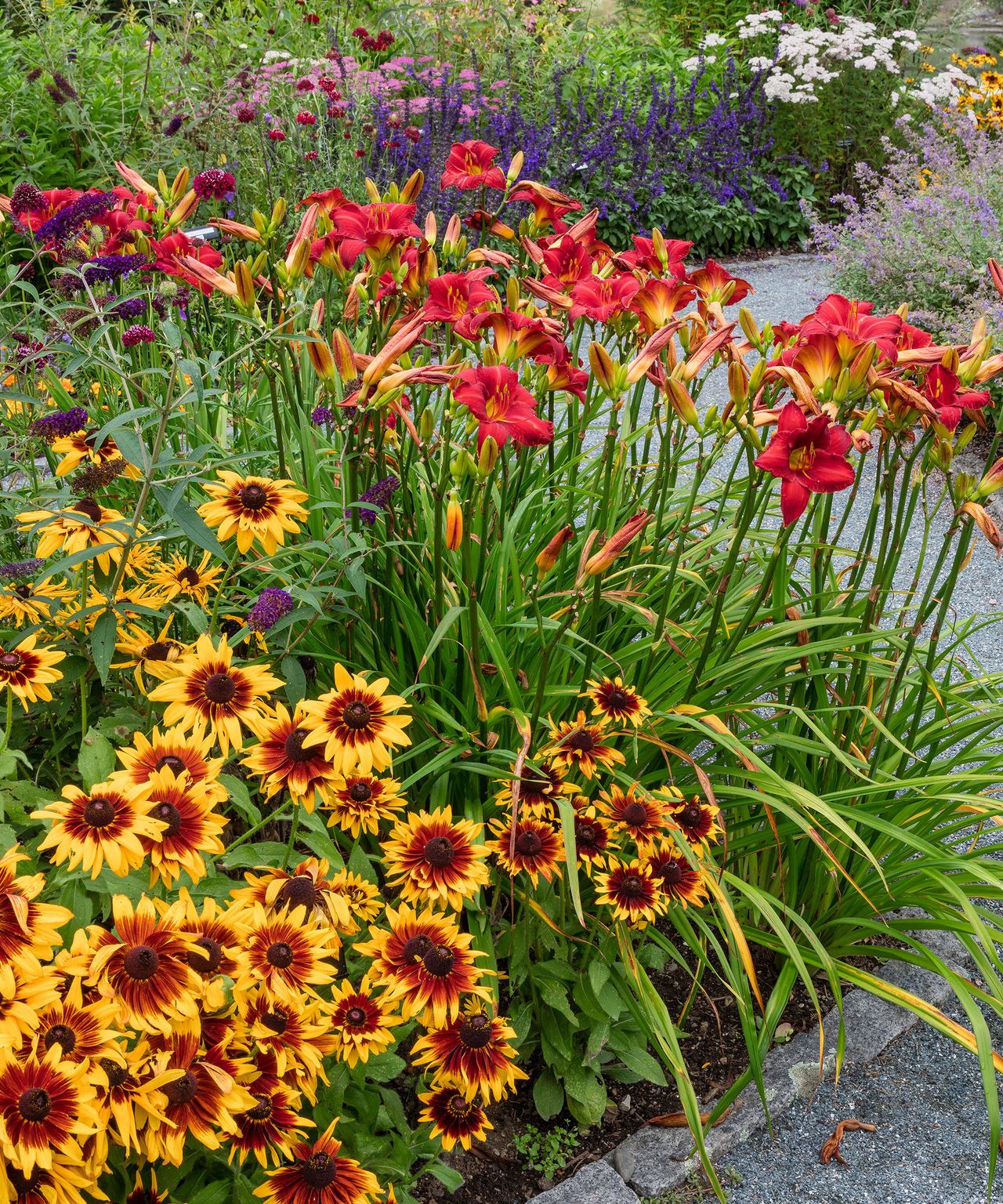 10 Beautiful Butterfly Garden Ideas To Attract Pollinators | Gardening ...