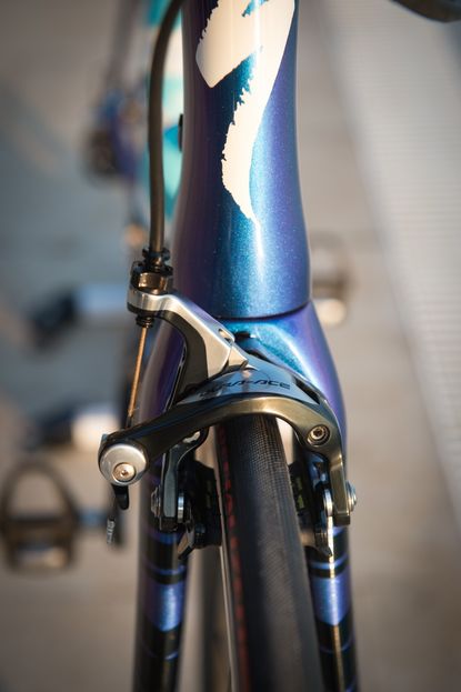 Tom Boonen's custom edition S-Works Venge | Cycling Weekly