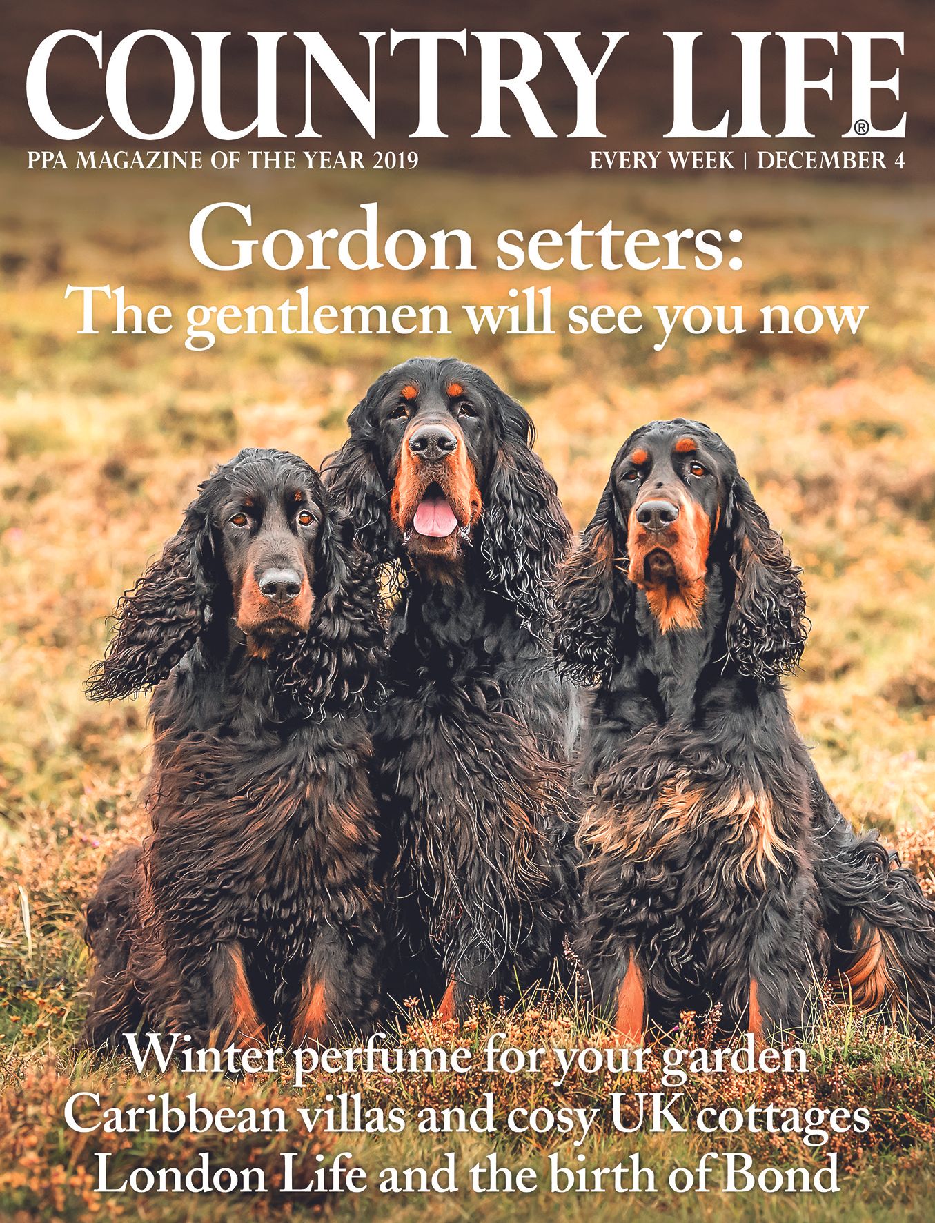 Country Life 4 December 2019 | Country Life