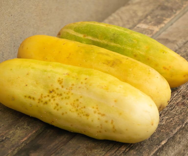 Why are my cucumbers turning yellow? And how to fix them | Homes and ...