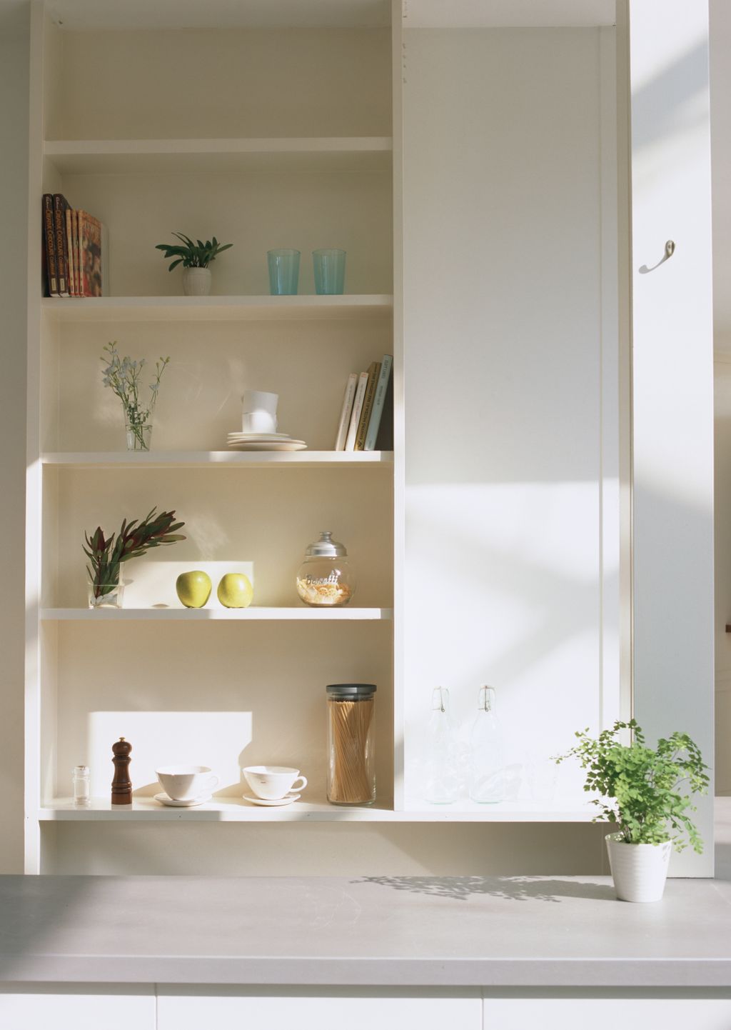 High-Maintenance Houseplants That Are Well Worth the Efforts | Livingetc