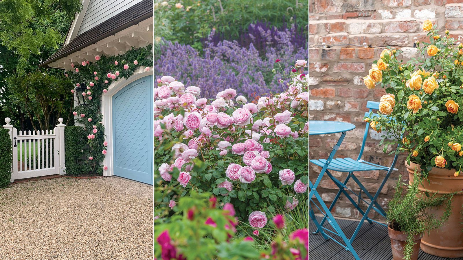 Landscaping with roses: 8 techniques to try | Homes and Gardens