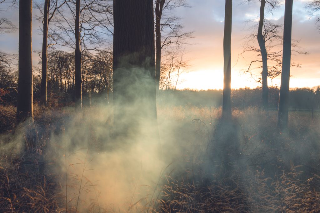 How to create atmospheric photos with fog | Digital Camera World
