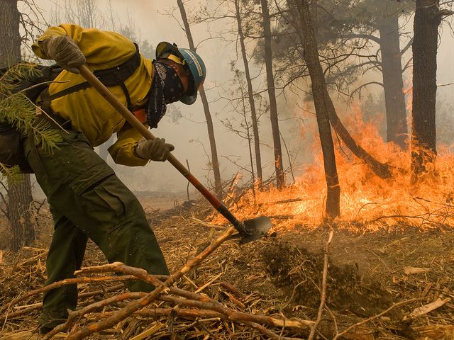 Top 10 Surprising Results of Global Warming | Live Science