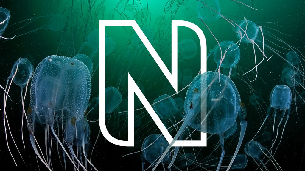 'There was a creative void that we both wanted to fill': a day in the ...