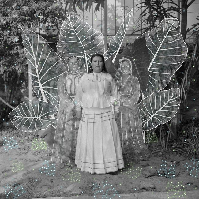 Using her own image-making language, Mexican photographer beats 430,000 ...