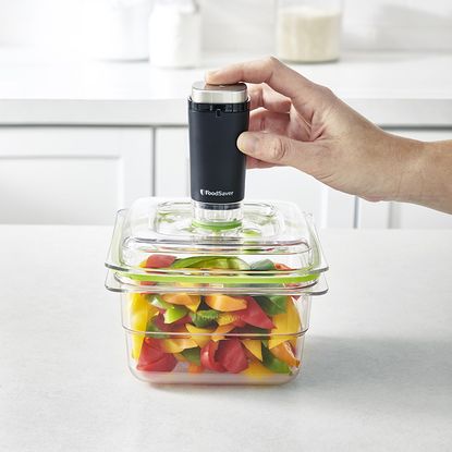 FoodSaver Handheld Vacuum Sealer Box review | T3