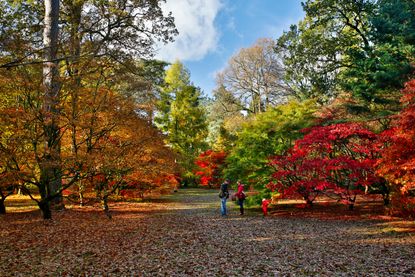 Free National Trust tickets are a thing – here’s how to get your hands ...
