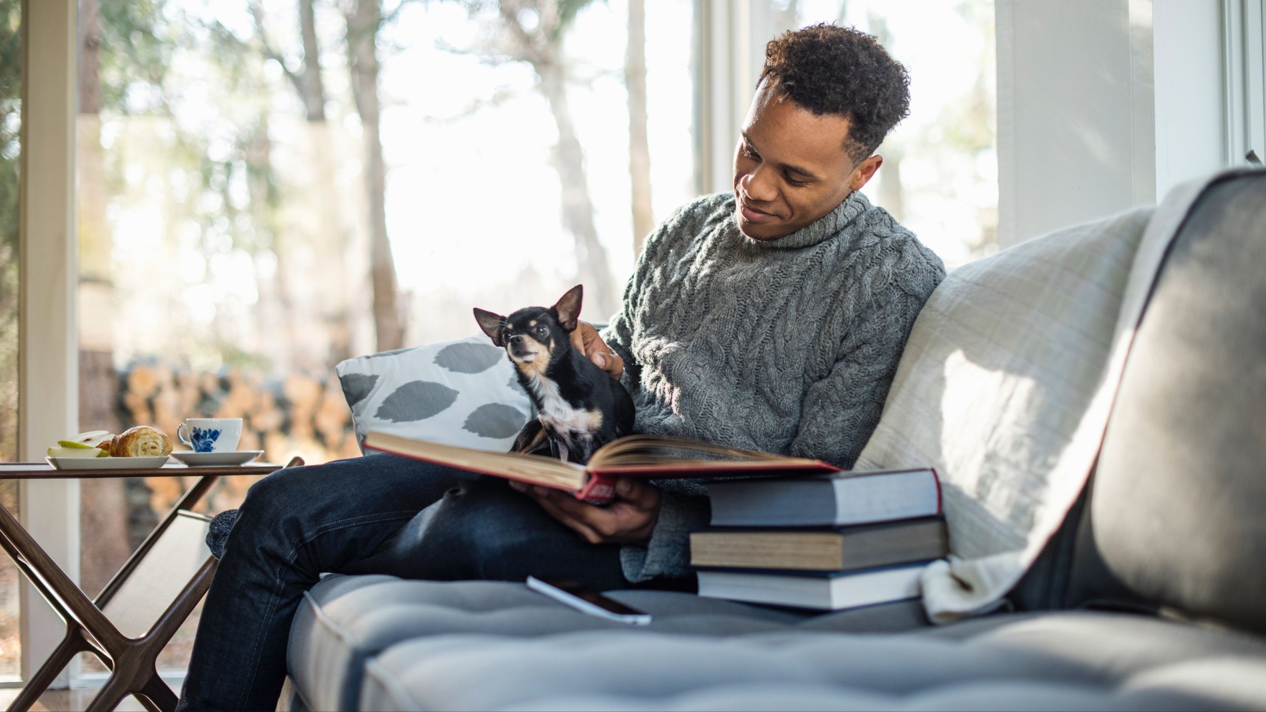 32 best dogs for introverts | PetsRadar