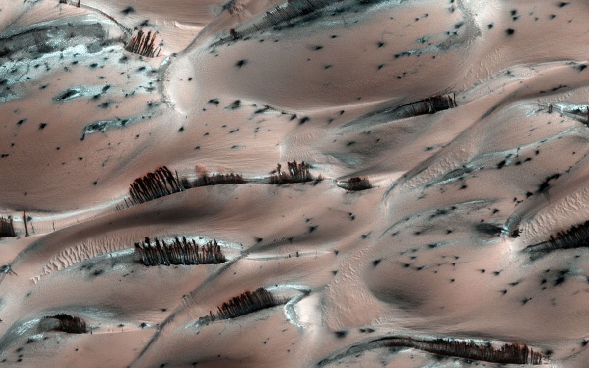 Another World — Mars' Strange Surface Wallpaper | Space